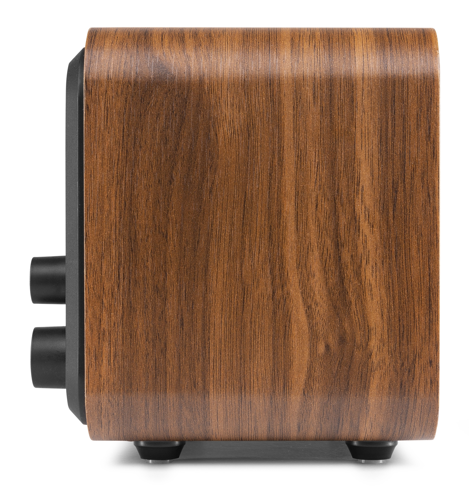 Venice WIFI Internet Radio with Battery Wood – Audizio