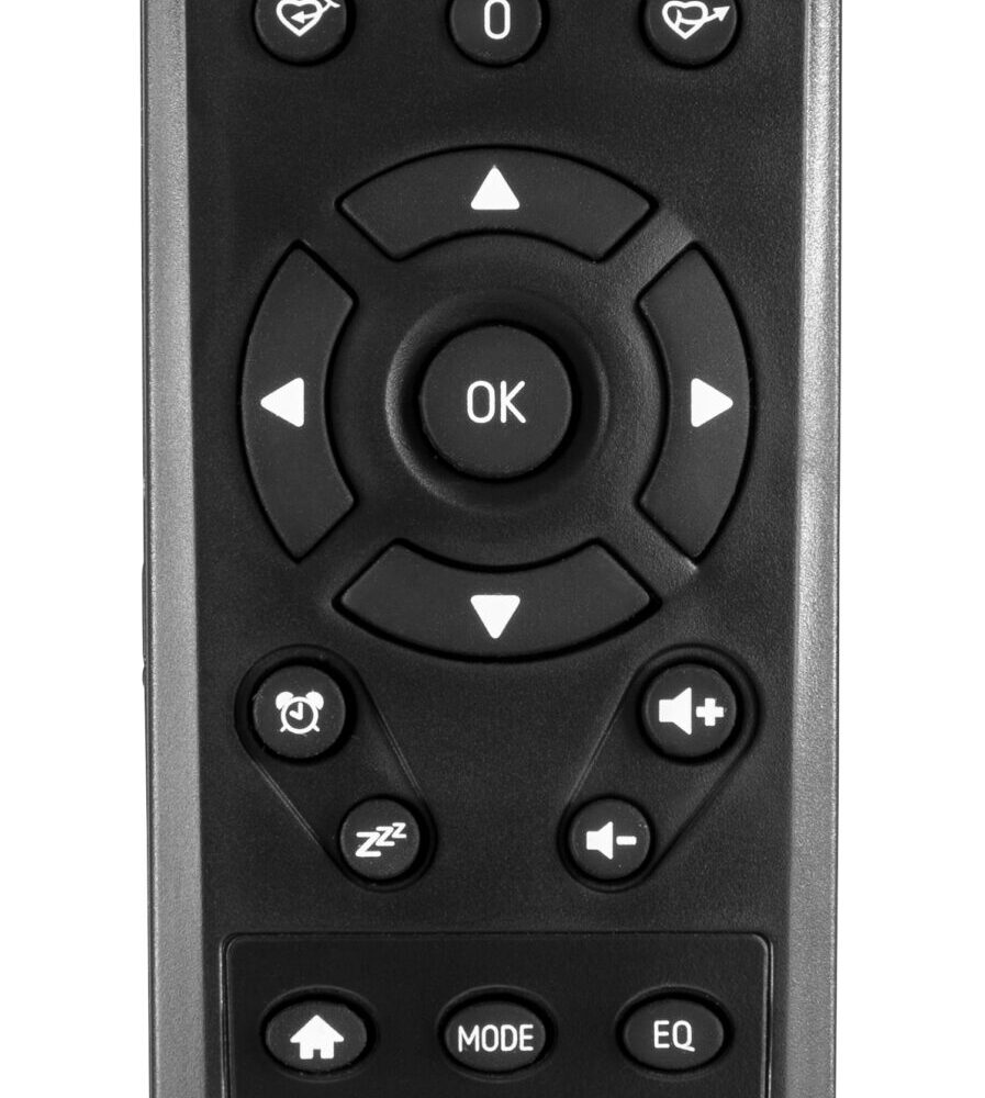 Venice WIFI Internet Radio with Battery Wood – Audizio