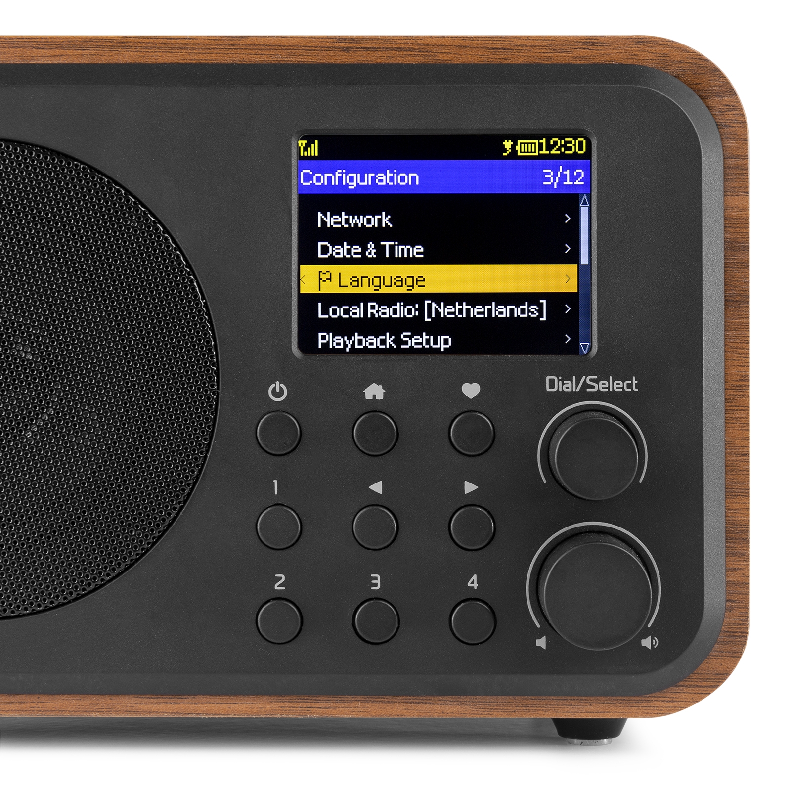 Vicenza WIFI Internet Radio with DAB+ and Battery Wood – Audizio