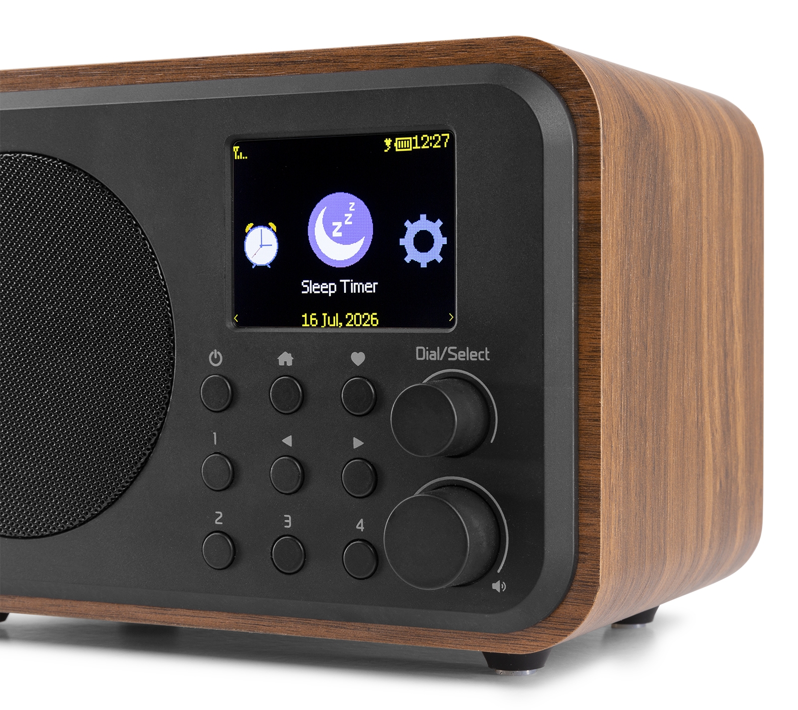 Vicenza WIFI Internet Radio with DAB+ and Battery Wood – Audizio