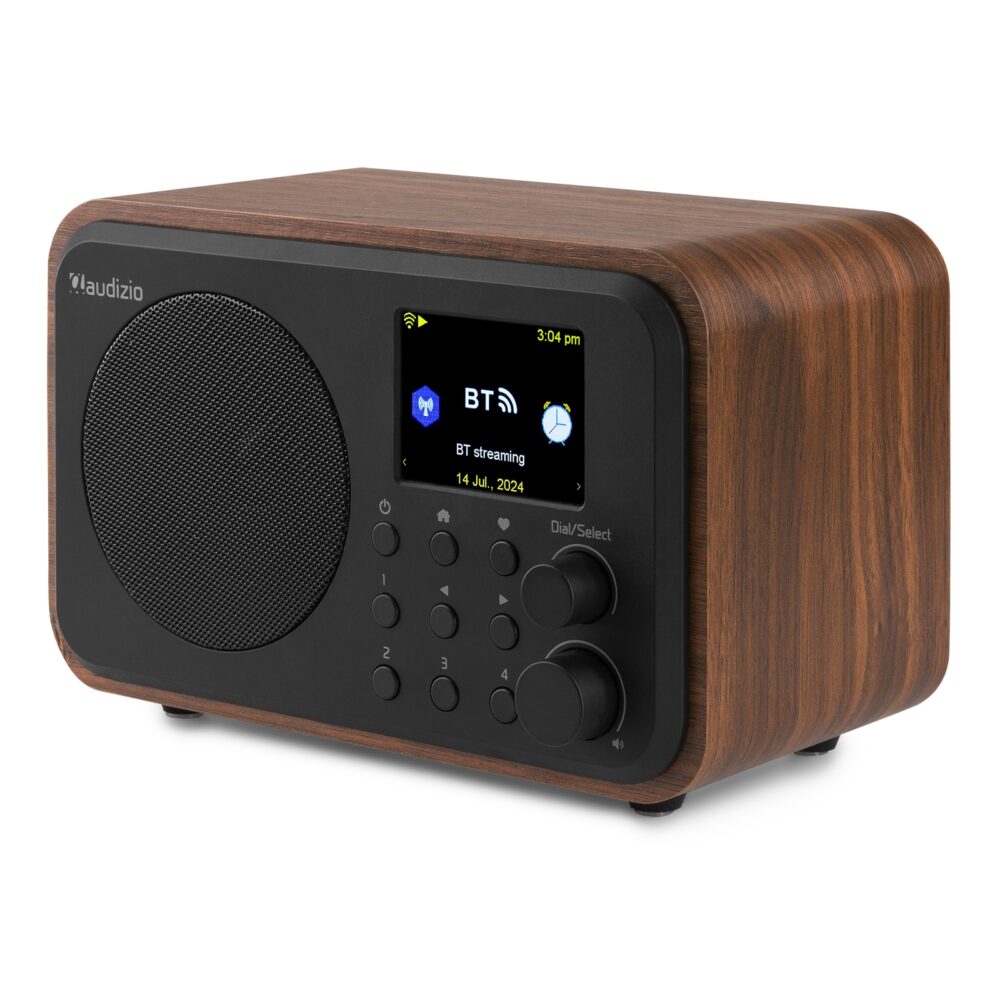 Vicenza WIFI Internet Radio with DAB+ and Battery Wood – Audizio